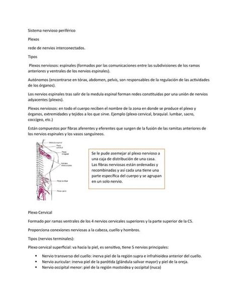 Plexos Melissa UDocz