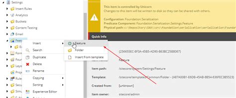 Best Practices Custom Features With Custom Rendering Section In