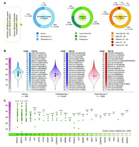 Brca Driver Genes Oncogenic Variants And Deleteriousness Scores