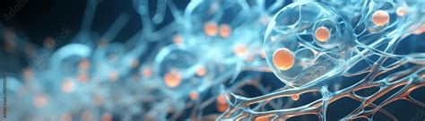 Closeup Microscopic View Of Osteocytes At Work Detailing Their Role In