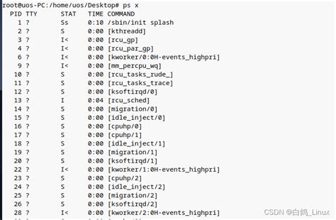 【linux】ps 命令基本使用方法psx命令 Csdn博客