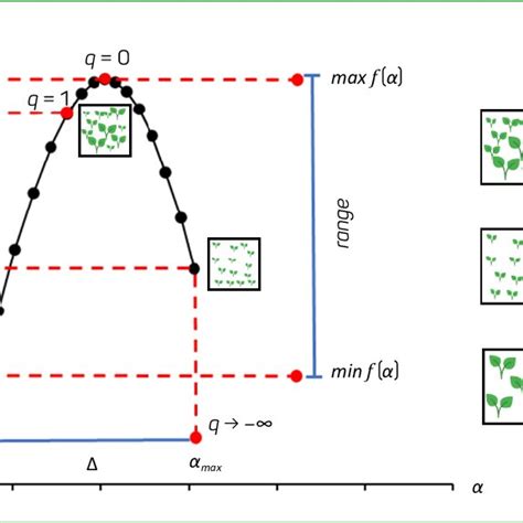 Interpretation Of The Multifractal Singularity Spectrum Download