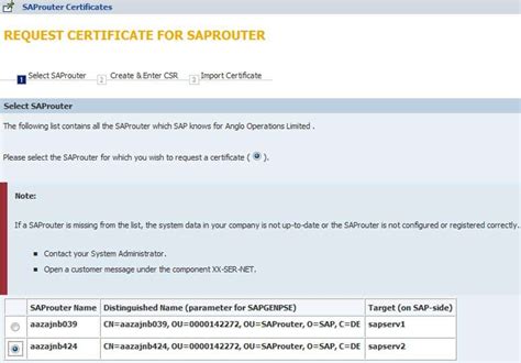 Snc Saprouter Step By Step Technical Guide 2025 Snc Saprouter Step By Step Technical Guide 2025
