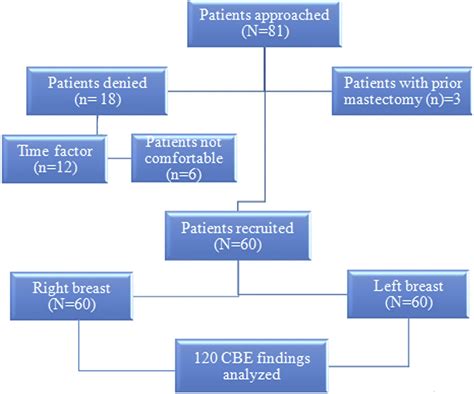 Dial Of A Clock” Search Pattern For Clinical Breast Examination