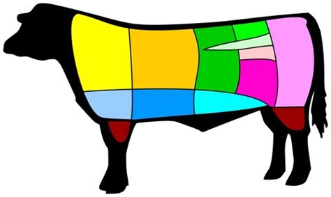 MEAT Flashcards Quizlet
