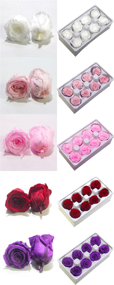 상품 상세보기 프리저브드드라이플라워 프리저브드 장미53b급프리저브드8개중국산연블루b급