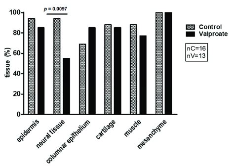 Influence Of MM VPA On The Percentage Of Differentiated Tissues In