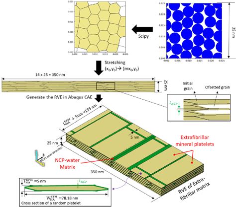 algorithm for generation of extra fibrillar matrix rve yellow areas