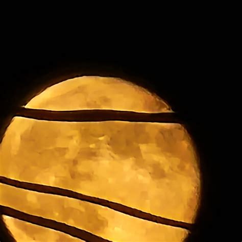 The Is No In Between Brian Allen