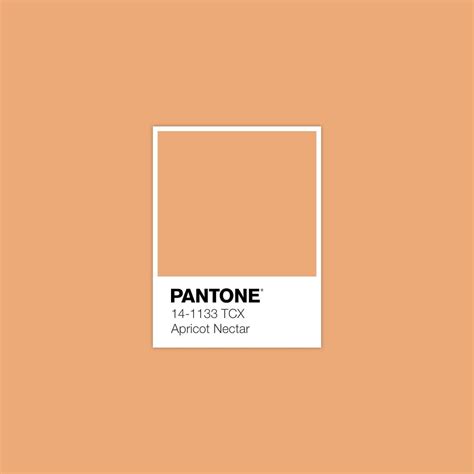Discover Inspirational Pantone Color Palette Lab SRGB HEX