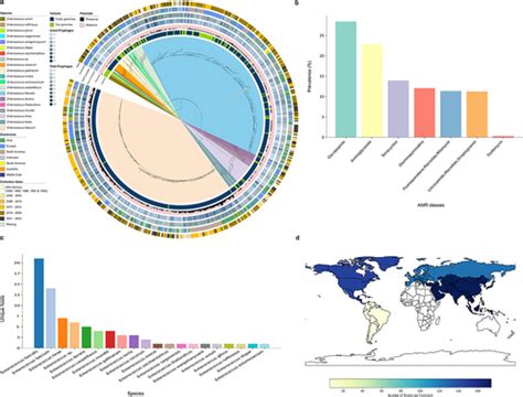 Full Article Comprehensive Analysis Of Enterococcus Spp From Two