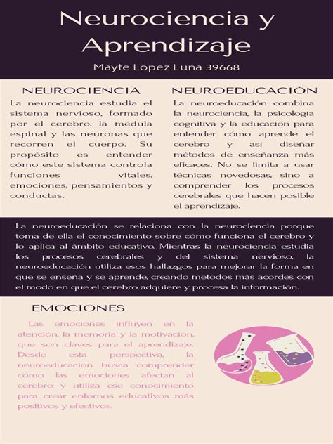 Neurociencia Y Aprendizaje Efectivo Pdf Cerebro Aprendizaje