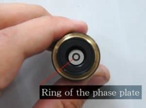 Phase Contrast Microscopy A Simple Explanation Microscope Clarity