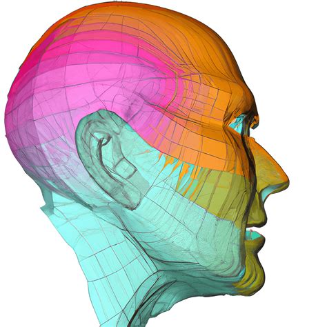 Polygonal Human Face Profile · Creative Fabrica