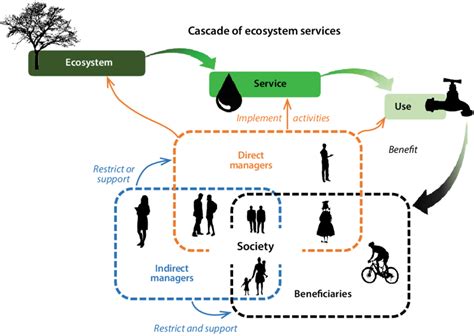 Analytical Framework With Two Forms Of Ecosystem Services Management