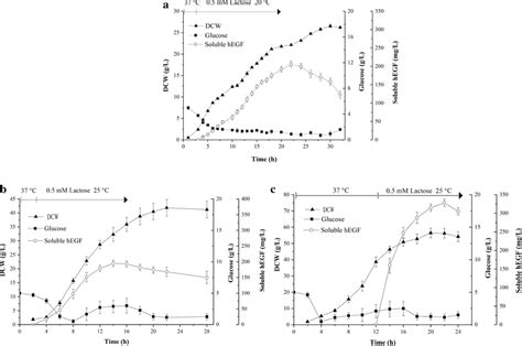 Shake Flask Fermentation Types At Edward Varley Blog