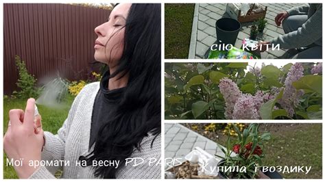 Мої парфуми PD PARIS сію квіти💐купила гвоздику - YouTube