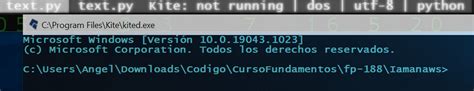 Kite Need Manual Start Kited Exe Run As Cmd Nvim Issue Kiteco Issue Tracker GitHub
