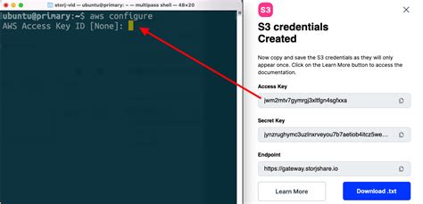 how to generate presigned urls for temporary object access