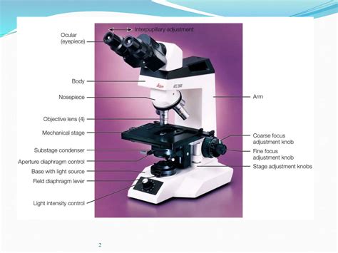 2 0 Types Of Light Microscope Ppt Microscope Ppt