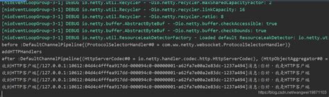 Netty实战系列一之多协议并存netty 多协议共存 Csdn博客