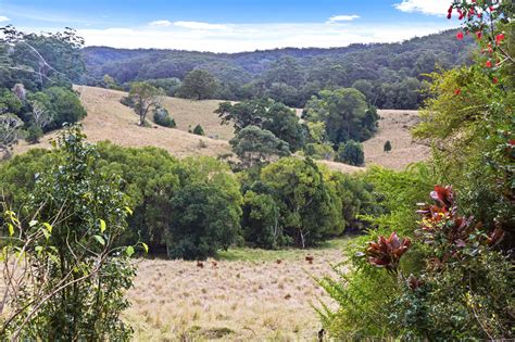 804 Mapleton Road Mapleton Qld 4560 Domain