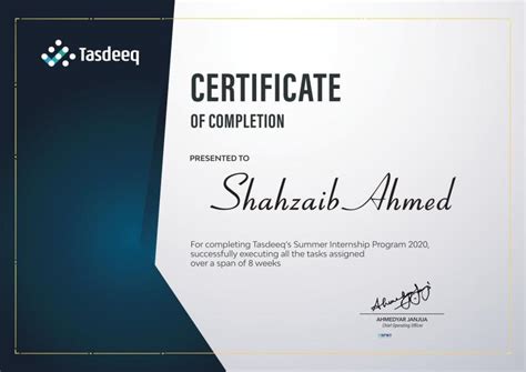 Internship Learning Informationtechnology Leadership Innovation Shahzaib A