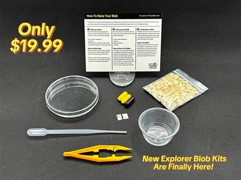 Liquid Fungi 🔬 Level Up Your Blob Science Game The Facebook