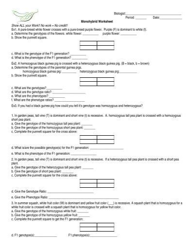 Monohybrid Worksheet