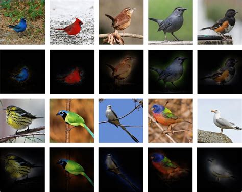 Visualization Results Of Transhcm On The Cub 2011 200 Dataset Download Scientific Diagram