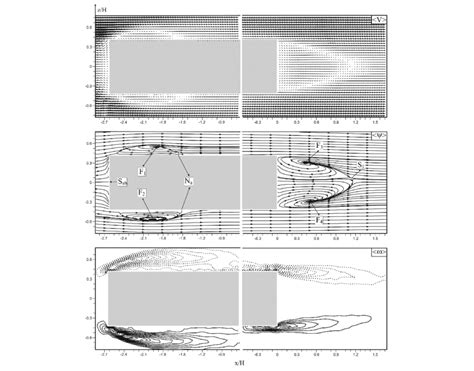 Patterns Of Time Averaged Velocity Vectors Map Streamlines And