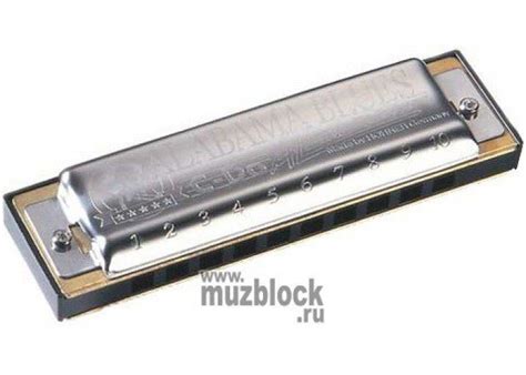 Купить губную гармошку HOHNER Alabama Blues 502/20 M50201 в нашем ...