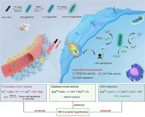 纳米酶 南京申诺青生物科技有限公司