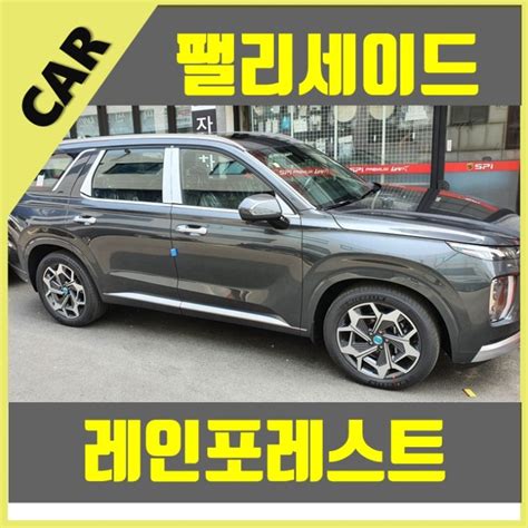 팰리세이드 캘리그라피 레인포레스트 카키색상 인테리어용품 소개 네이버 블로그