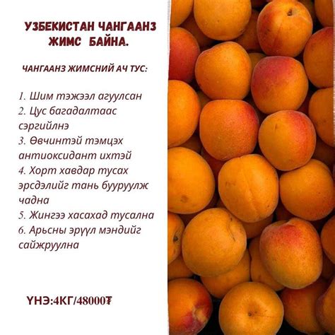 Узбек Жимс Жимсгэнэ Хүнсний Ногоо Худалдаа Ulaanbaatar