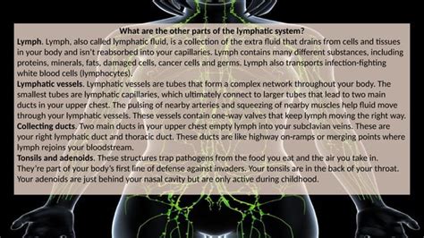 Lymphatic System Ppt091950pptx