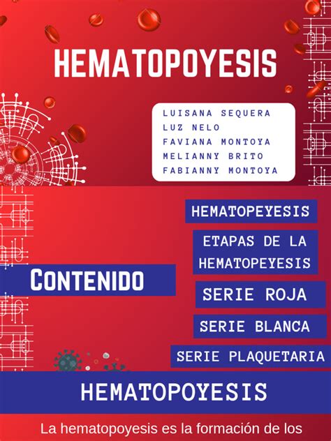 Hematopoyesis Pdf Hematopoyesis Leucocito