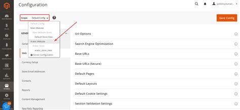 Magento Multistore Configuration Easy Step By Step Guide