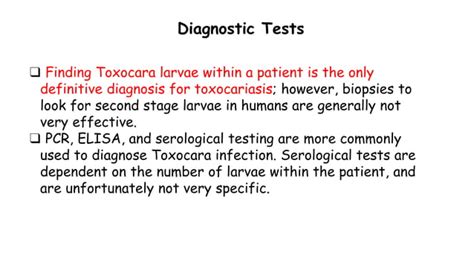 Toxocariasis Pptx In Depth Review Of Toxocariasis Ppt