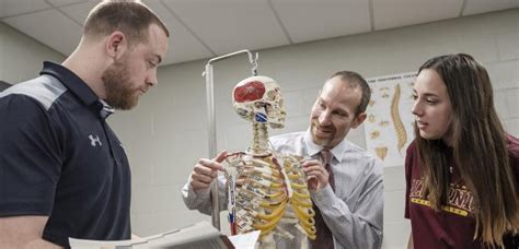 master of science in athletic training msat alvernia university