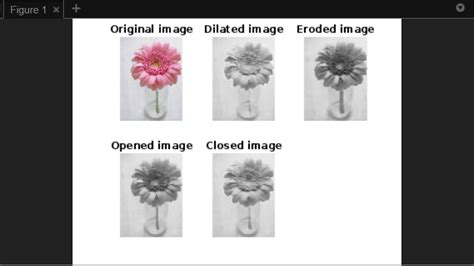 Morphological Operations In Matlab Tpoint Tech