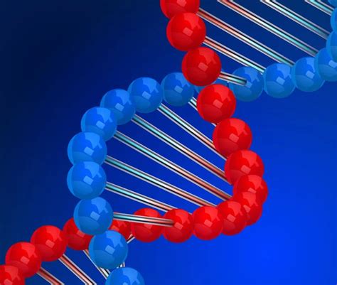 Dna Illustration — Stock Vector © Mpavlov 5608002