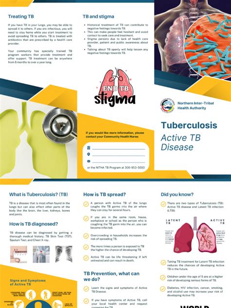 Tuberculosis Active Tb Disease Trifold Brochure 2023 Pdf