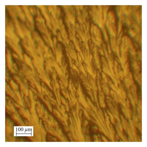 Microstructure Of Surfaces Of The Studied Composite Materials With An