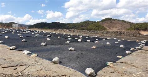 경남 고성군 공룡발자국 화석 산지 예산 부족에 방치