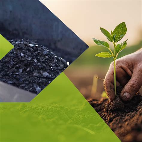 Application Of Biochar A Sustainable Solution For Modern Industries