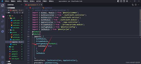 学习nest js中如何使用jwt进行身份验证，这一篇文章就够 nest jwt csdn博客