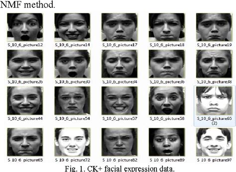 Figure 1 From Extended Non Negative Matrix Factorization For Face And