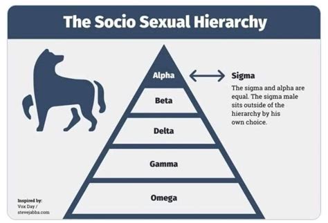 The Lone Wolf 11 Sigma Male Personality Traits You Need To Know