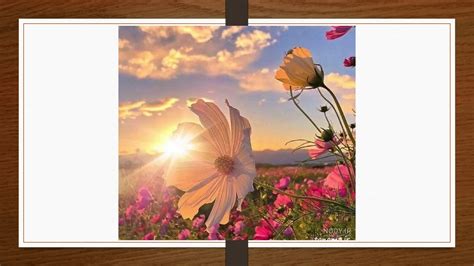 Structure Of Teeth Pptx Aa Pptx